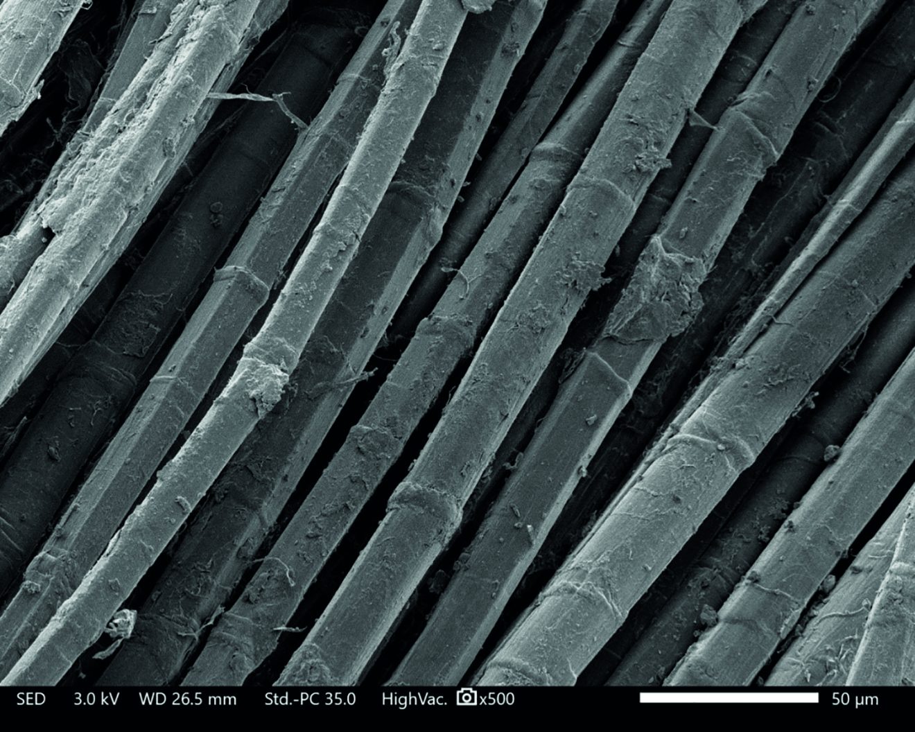 Fibre écolo : le lin, matériau longue conservation - Journal en direct
